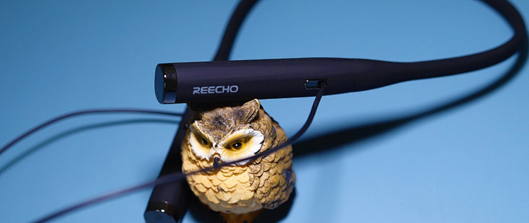 REECHO R1轻体验——这或许是最便宜的降噪耳机了？_蓝牙耳机_什么值得买