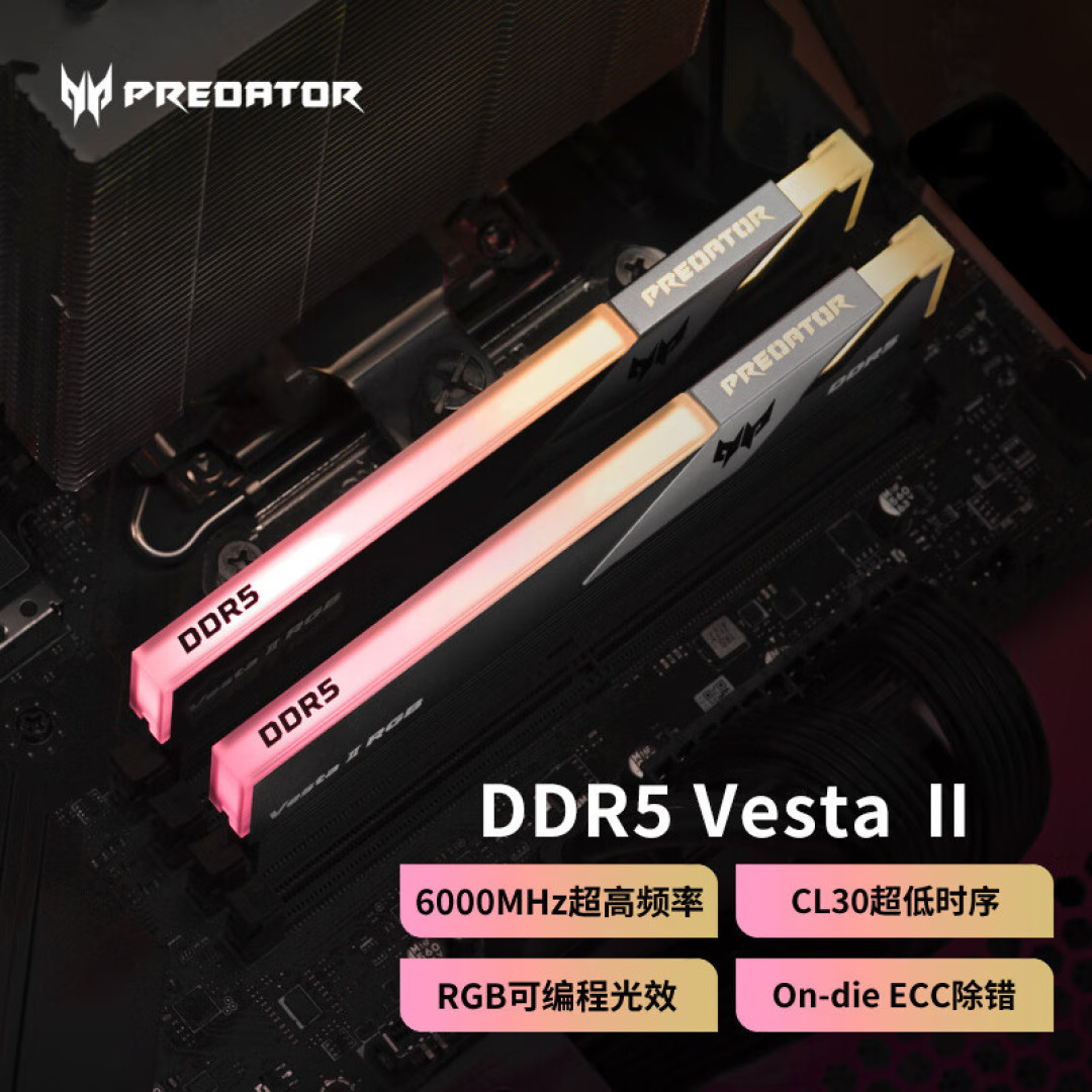 11月DDR5内存条推荐，游戏党必选高性价比宏碁掠夺者DDR5 Vesta II_台式机内存_什么值得买