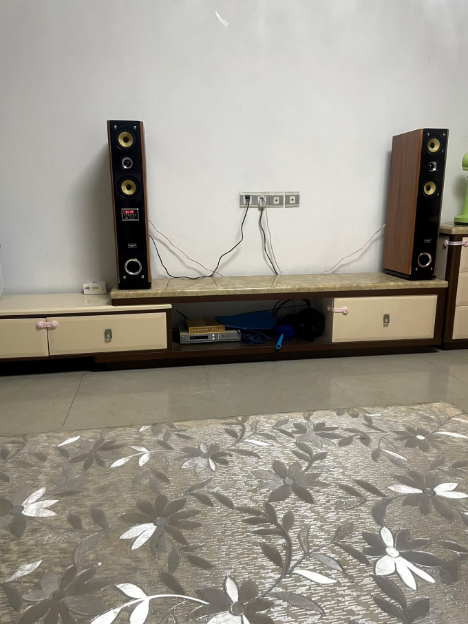大功率重低音，家庭客厅音响_什么值得买