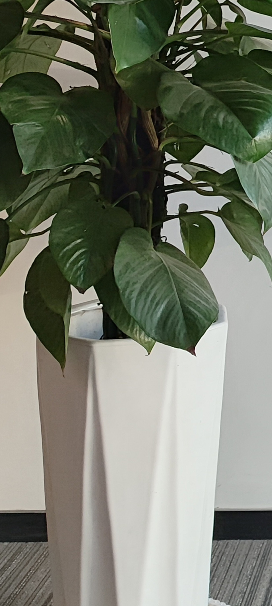 深度使用红米K50至尊版后，再上手K60体验如何？_安卓手机_什么值得买