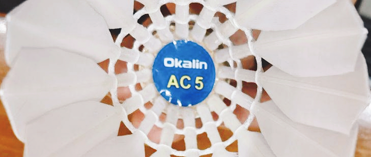 羽球人，你会选择澳加林AC-5吗？_羽毛球具_什么值得买