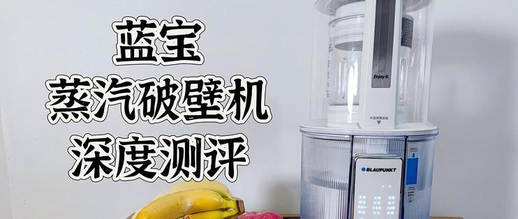 蒸汽破壁机的好处是什么？蓝宝BP-PB08蒸汽破壁机深度测评_破壁机_什么值得买