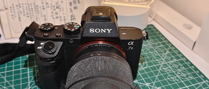 ：索尼A7M2套机，4.5k💰值得购买吗_数码相机_什么值得买