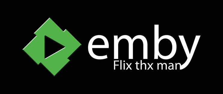 Emby更换字幕显示字体_服务软件_什么值得买