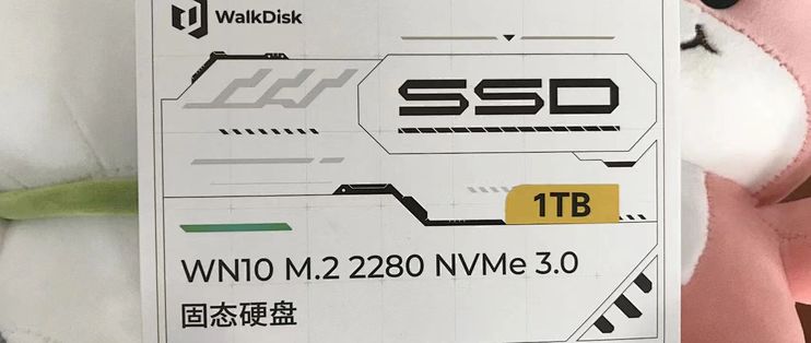 WalkDisk WN10 1T开箱评测_硬盘_什么值得买