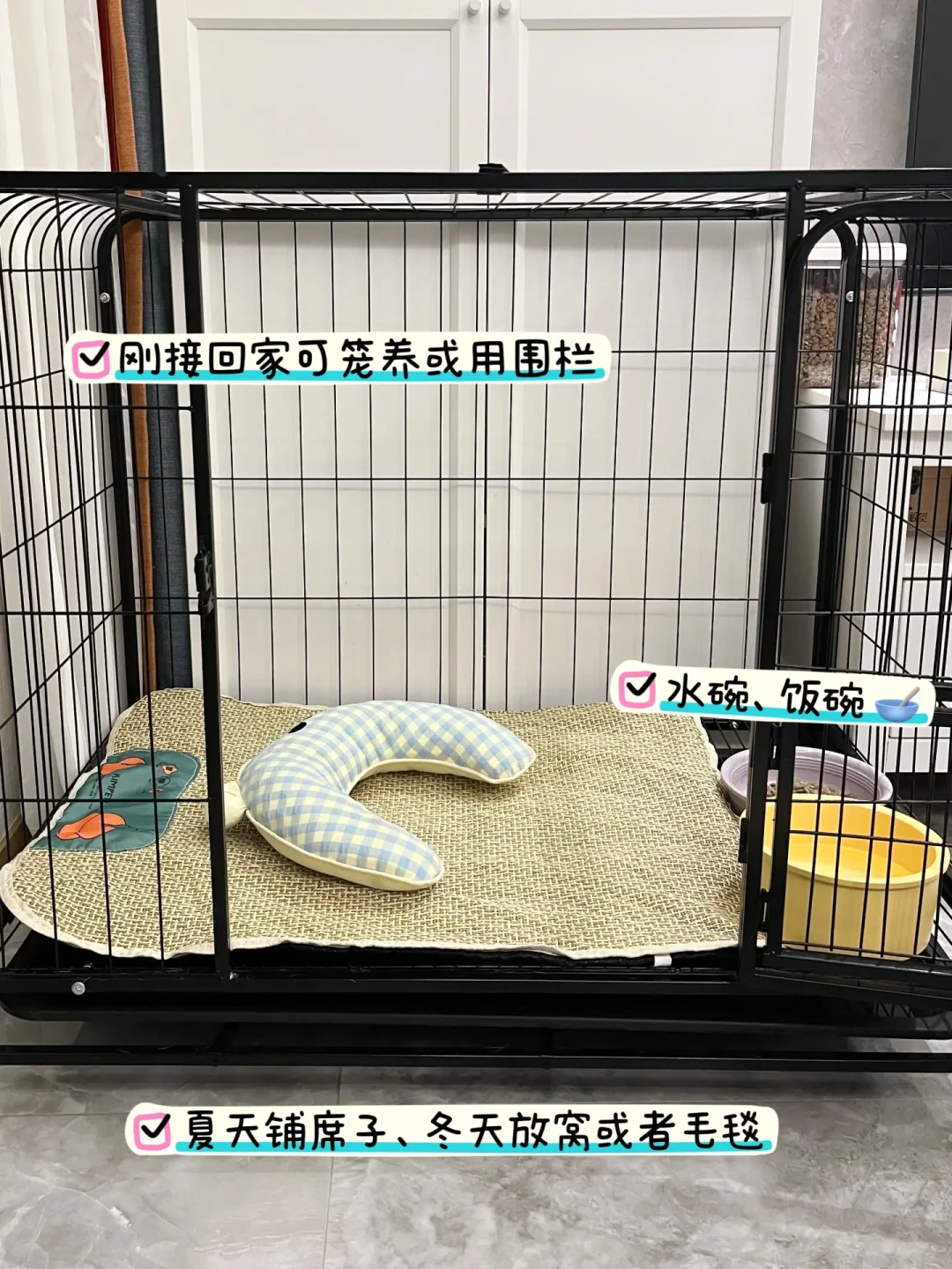 新手养狗完全指南：从基础物品到行为训练_狗狗_什么值得买