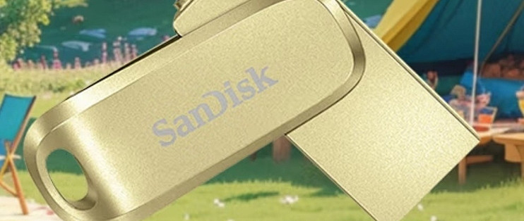 闪迪双口256U盘_U盘_什么值得买