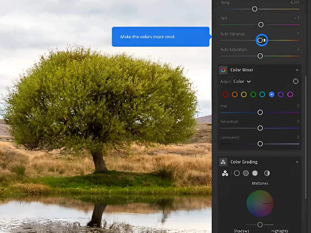 全面解析Adobe Lightroom Classic 2024新功能及优化安装教程_办公软件_什么值得买
