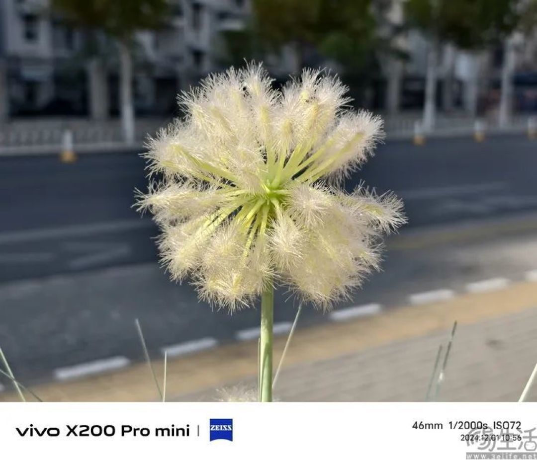 vivo X200 Pro mini详细解析：mini和Pro全都要_安卓手机_什么值得买