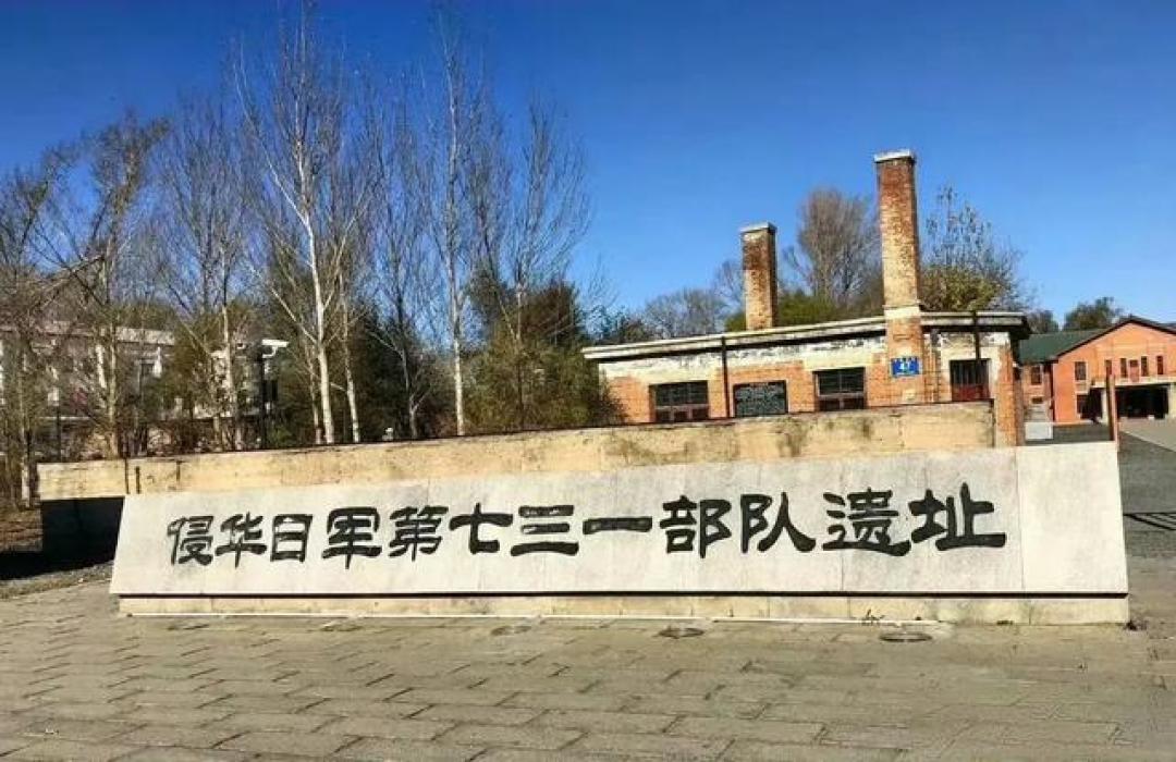 电影〈731〉预告震撼发布，揭黑暗历史引发深思_其他文化娱乐_什么值得买