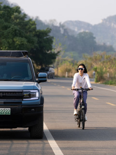 DAHON 大行 S20折叠自行车20英寸20速成人铝合金线碟刹运动竞技多路况自行车 黑色【报价 价格 评测 怎么样】 -什么值得买