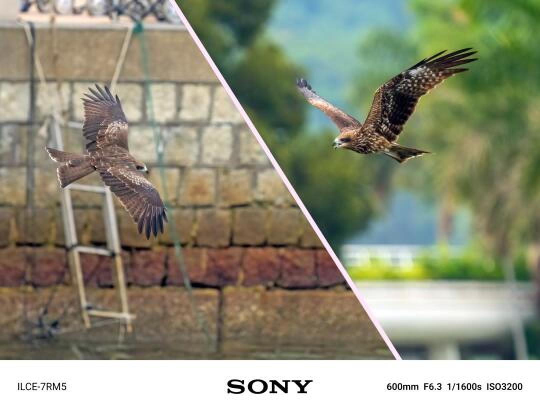 索尼A7R5深度解析：6100万像素+AI对焦，高性价比旗舰值不值得冲？_相机_什么值得买