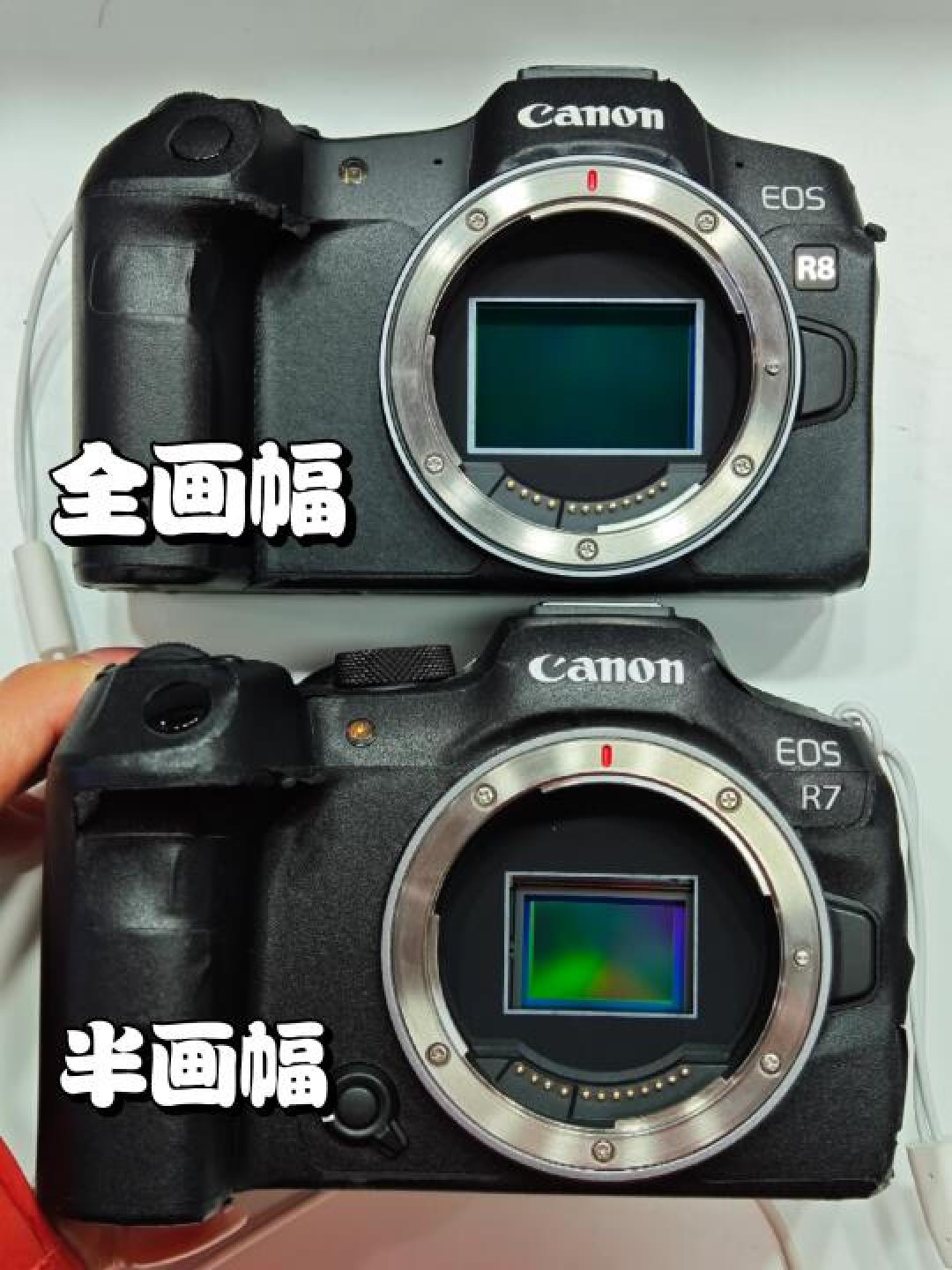 全画幅与半画幅相机终极对决：传感器尺寸如何影响你的摄影选择_电脑数码_什么值得买