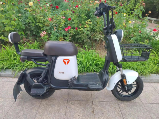 雅迪（yadea）钠电电动自行车Q1-H 94km长续航男女代步通勤大踏板电动车 偏撑可断电电瓶车 春辰绿【报价 价格 评测 怎么样】 -什么值得买