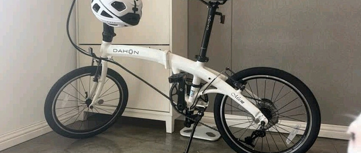 大行（DAHON）P10折叠自行车测评：轻盈灵动，通勤运动的理想选择_折叠车_什么值得买