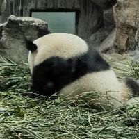 2025年7月新风空调应该怎么选？海信X3 Pro和TCL小蓝翼 Q7 Pro/..._什么值得买