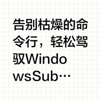 轻松掌握 WSL！WSL Manager 超详细教程_什么值得买