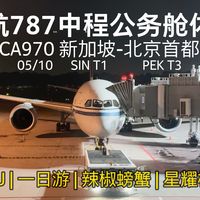 被乘务组认出是什么体验 | 国航B787-9 CA970新加坡樟宜-北京首都公务..._什么值得买