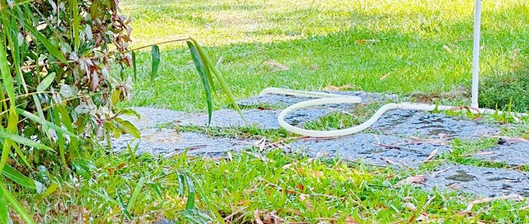 松典DC226双摄旗舰：毕业旅行的8K光影捕手_相机_什么值得买