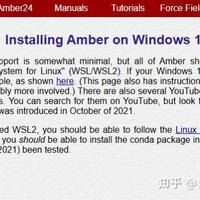 【Amber 安装教程】入坑Amber须知 Amber vs. AmberToo..._什么值得买