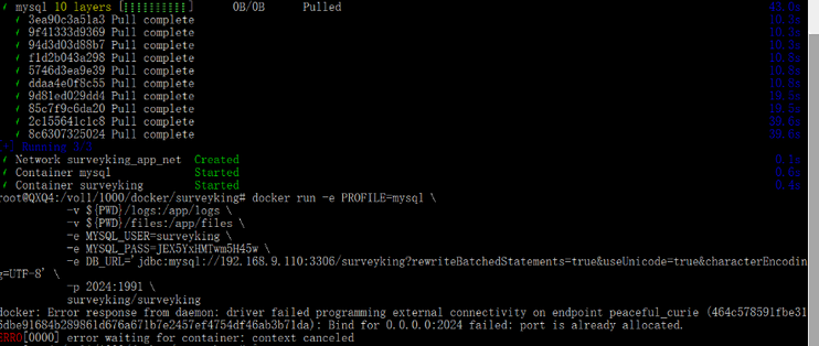 [有手就会教程]飞牛Docker部署surveyking，修改容器外数据库_网络存储_什么值得买