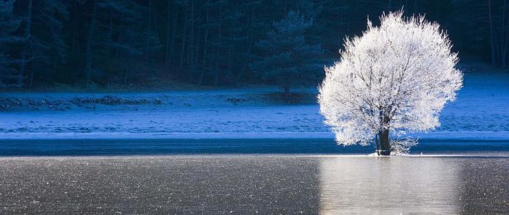 SplitLanzou安卓版(蓝奏云第三方客户端) v1.8.2 免费版_服务软件_什么值得买