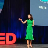 【TED：悲伤的时候还怎么工作？】Meredith Wilson Parfet ..._什么值得买