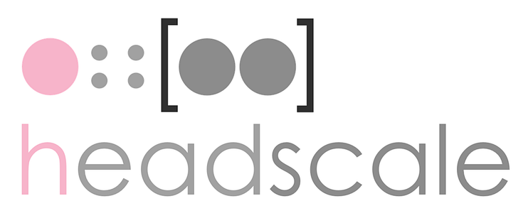 Headscale：开源WireGuard组网方案，自建 Tailscale企业私有网络_网络存储_什么值得买
