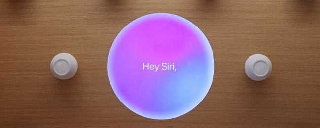 Siri接入Gemini是“借力翻身”还是“自毁品牌”？1000+用户观点大碰撞_手机软件_什么值得买