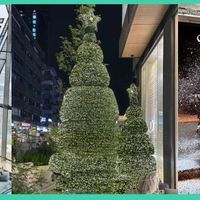 国内门票与活动怎么样 Chengdu Christmas Tree Guide｜成都圣诞树打卡指南_什么值得买