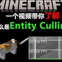 我的世界服务软件怎么样 【MC】Entity Culling 模组解析：实体渲染优化的原理与边界_什么值得买