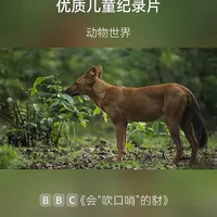 【ACT神作】青色大脑cyanbrain 安卓版＋PC版＋附全解锁存档！_什么值得买