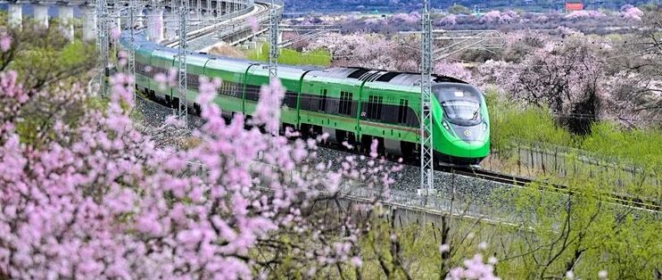 Z264次列车 vs 拉林铁路？127位用户真实体验告诉你答案_国内出行交通_什么值得买